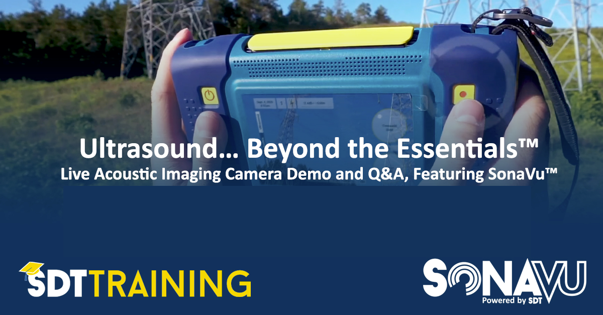 Ultrasound… Beyond the Essentials™ Live Acoustic Imaging Camera Demo ...